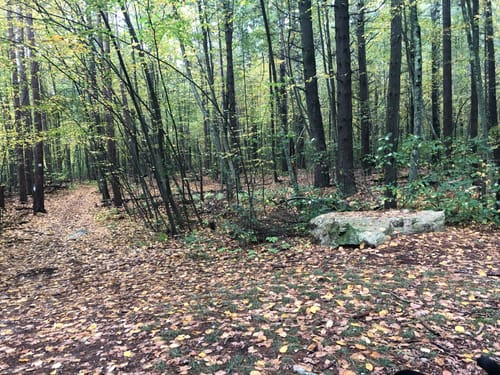 Best 10 Hikes and Trails in F. Gilbert Hills State Forest | AllTrails