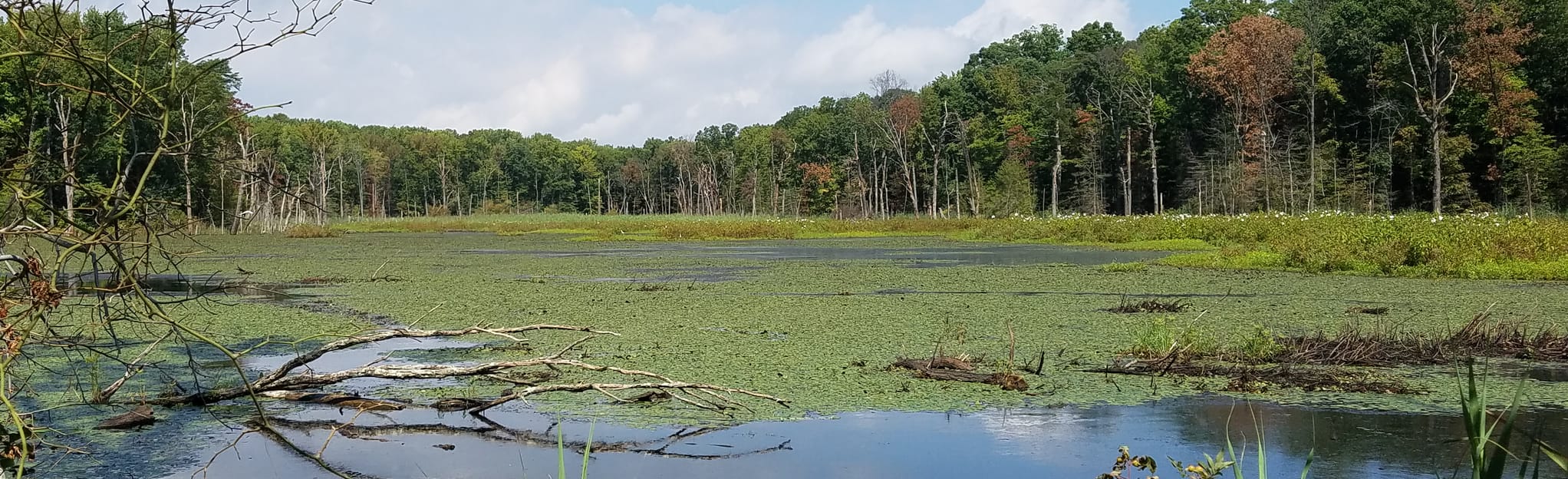 AllTrails | North Point State Park Trail: 601 Reviews, Map - Maryland