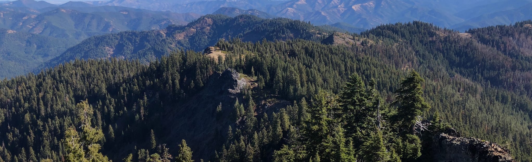 Whiskey Peak Trail, Oregon - 11 Reviews, Map | AllTrails