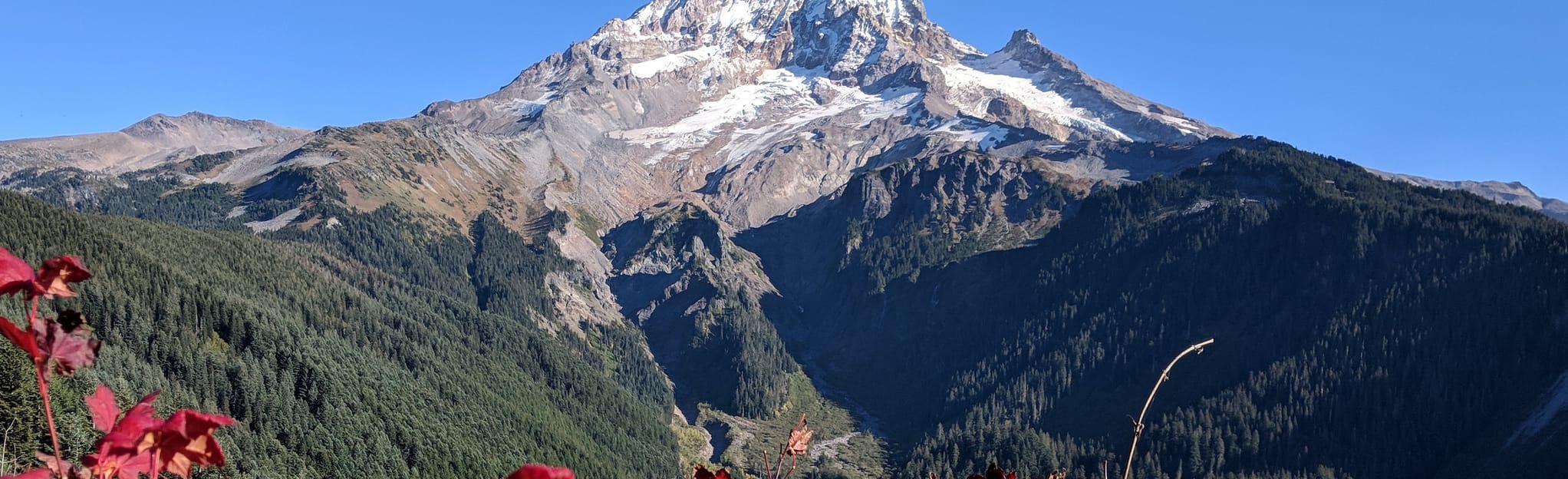 McNeil Point Trail, Oregon - 2,741 Reviews, Map | AllTrails