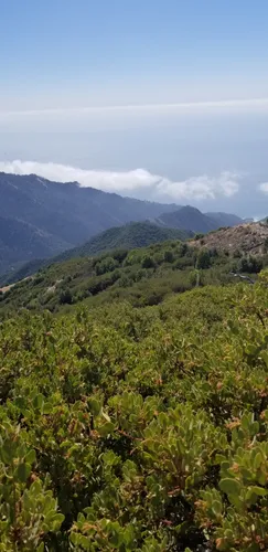 10 Best Backpacking Trails in Ventana Wilderness | AllTrails