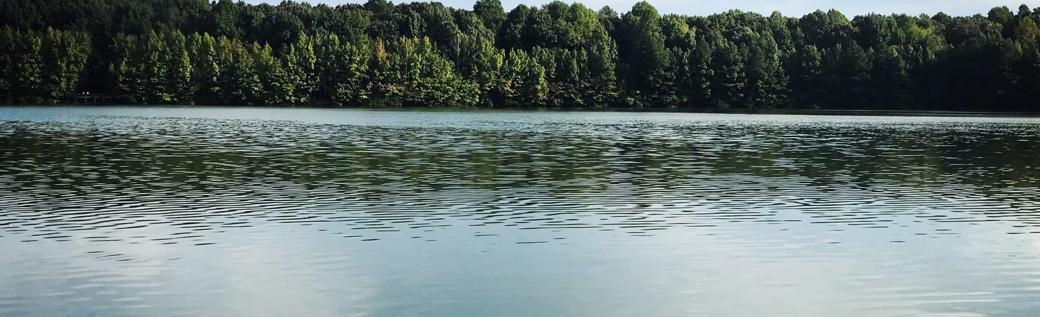 Oak Grove Lake, Virginia - 785 Reviews, Map | AllTrails