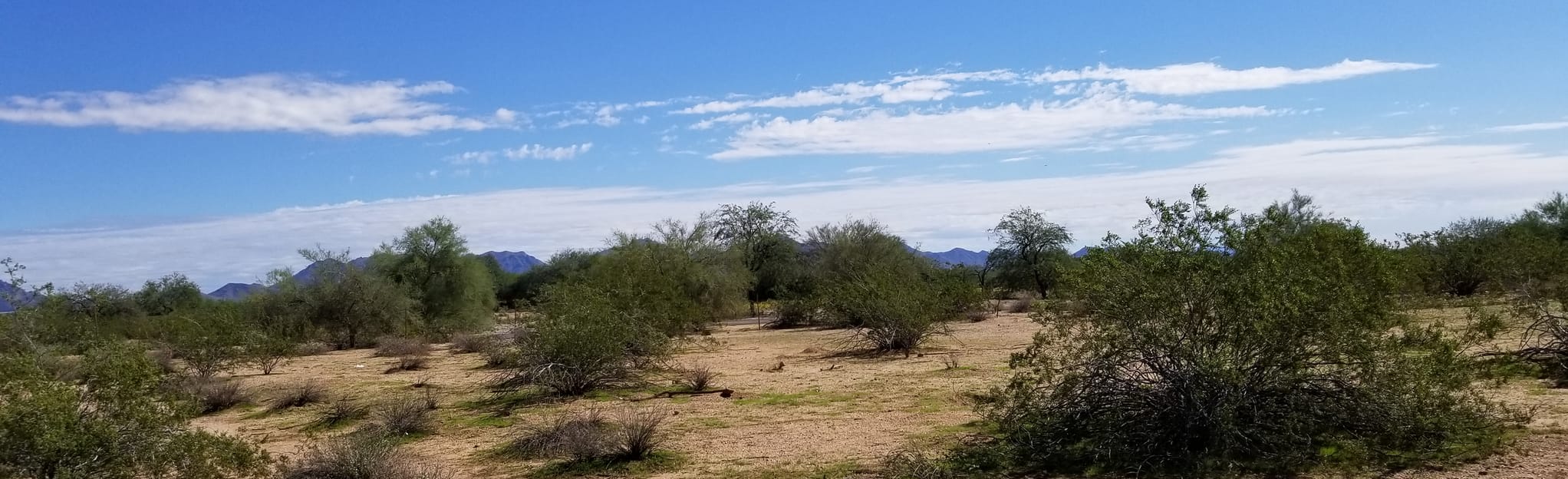 Reach 11 Recreation Loop, Arizona - 927 Reviews, Map | AllTrails