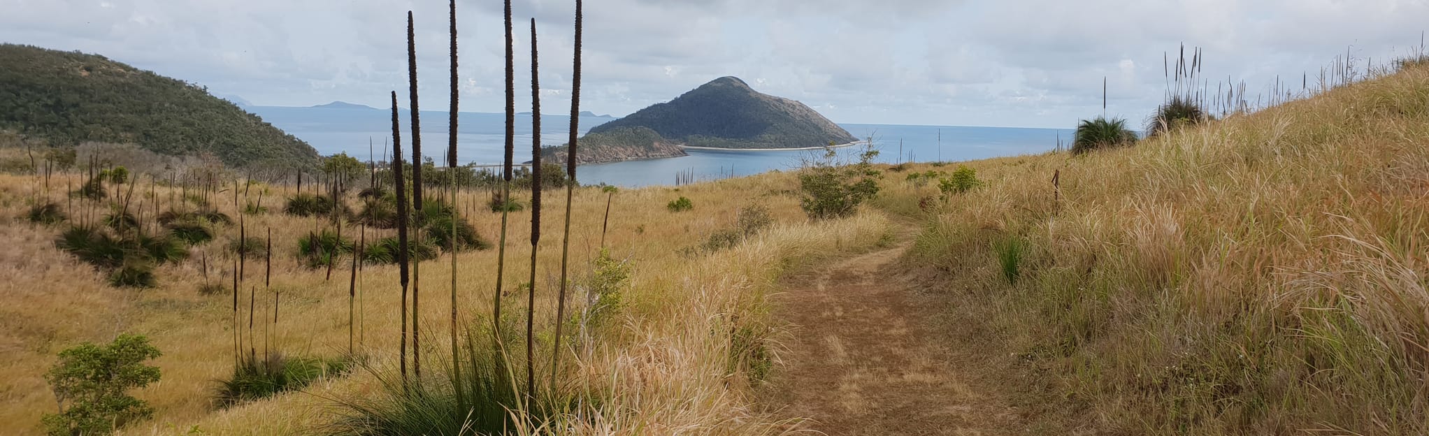 Spion Kop and Mount Jefferys Trail: 12 Reviews, Map - Queensland ...
