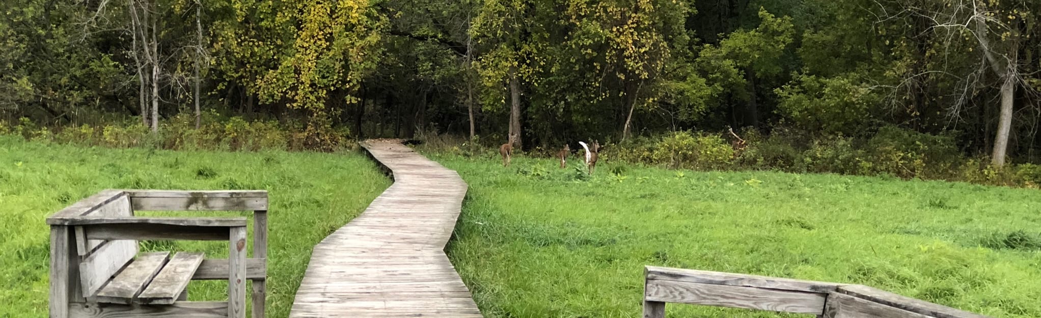 Ridge Run, Cayuga, Indian, Seneca and Aspen Grove Trail, New York - 635 ...