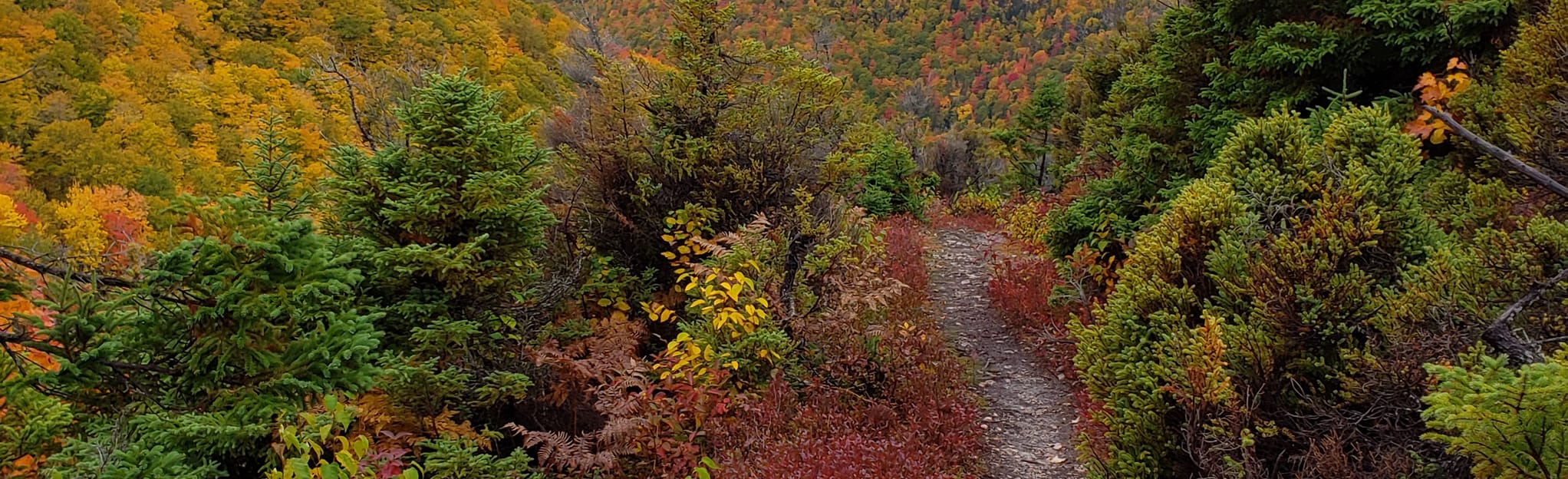 Aspy Trail : 60 photos - Nouvelle-Écosse, Canada | AllTrails