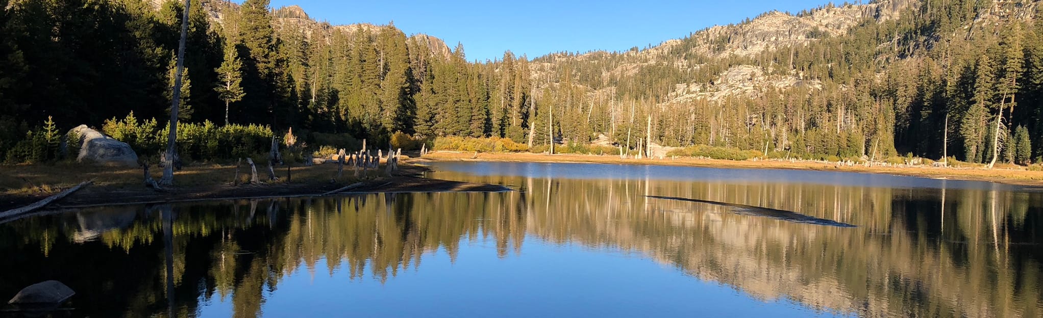 Crabtree Trail to Bear Lake: 705 Reviews, Map - California | AllTrails