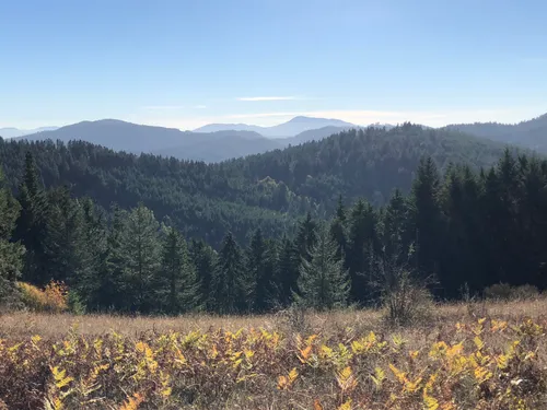 Best Forest Trails in Dunn Research Forest | AllTrails