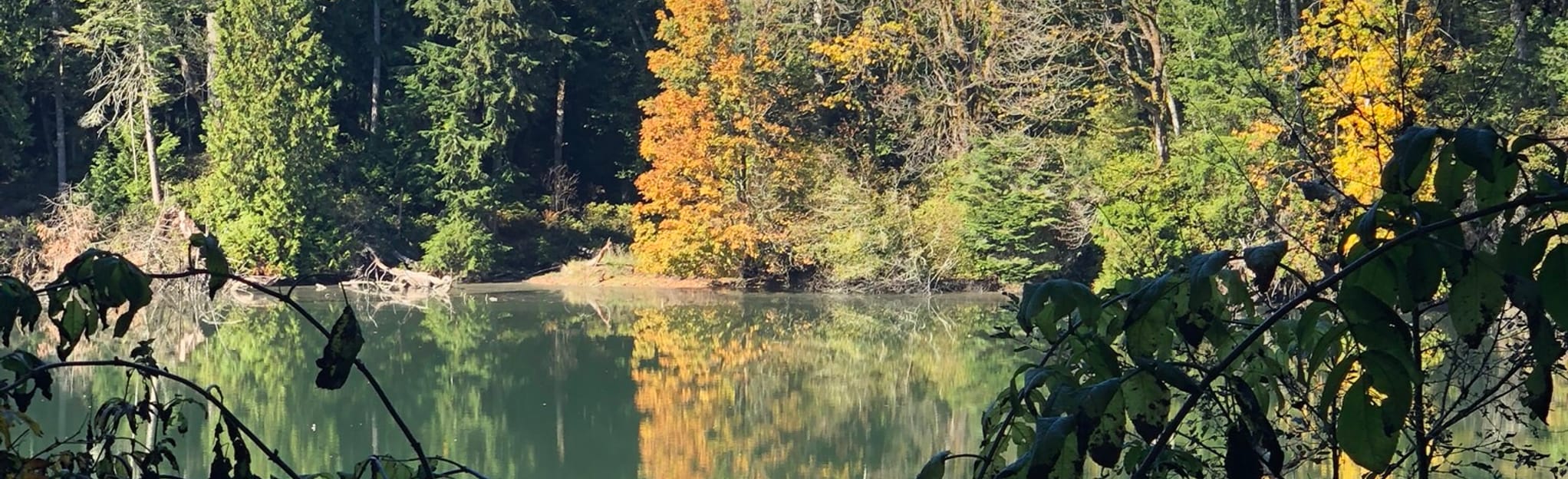 Chehalis Western Railway, Washington - 29 Reviews, Map | AllTrails