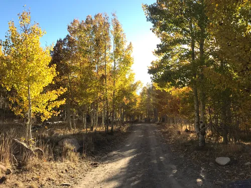 Best Scenic Driving Trails in Humboldt-Toiyabe National Forest | AllTrails