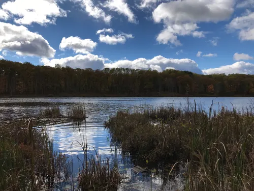 10 Best Hikes and Trails in Huron National Forest | AllTrails