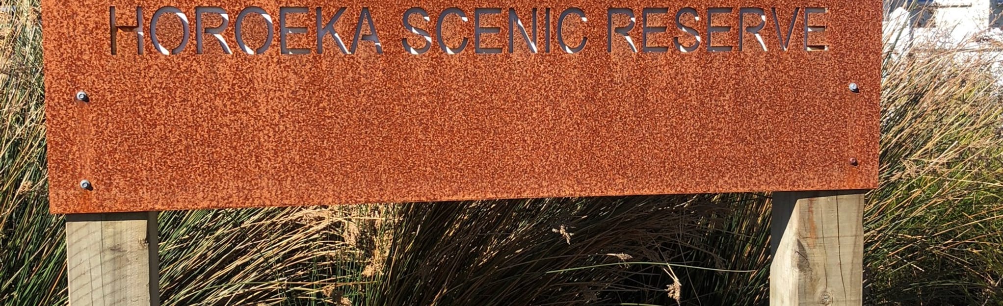 Horoeka Reserve Trail - Wellington, New Zealand | AllTrails