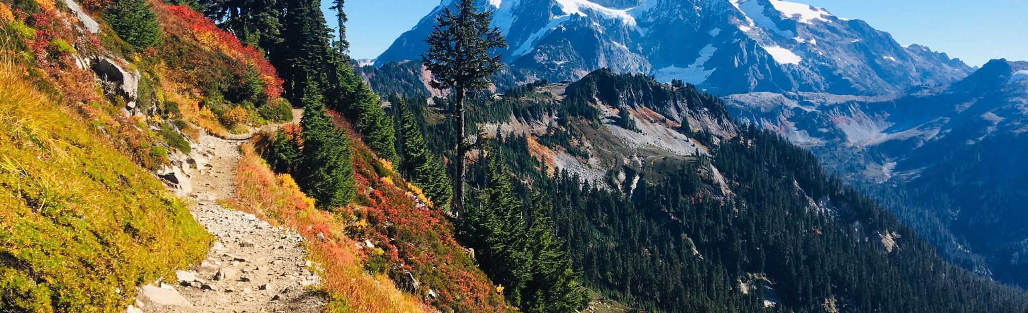 Iceberg Lake via Chain Lakes Trail, Washington - 490 Reviews, Map ...