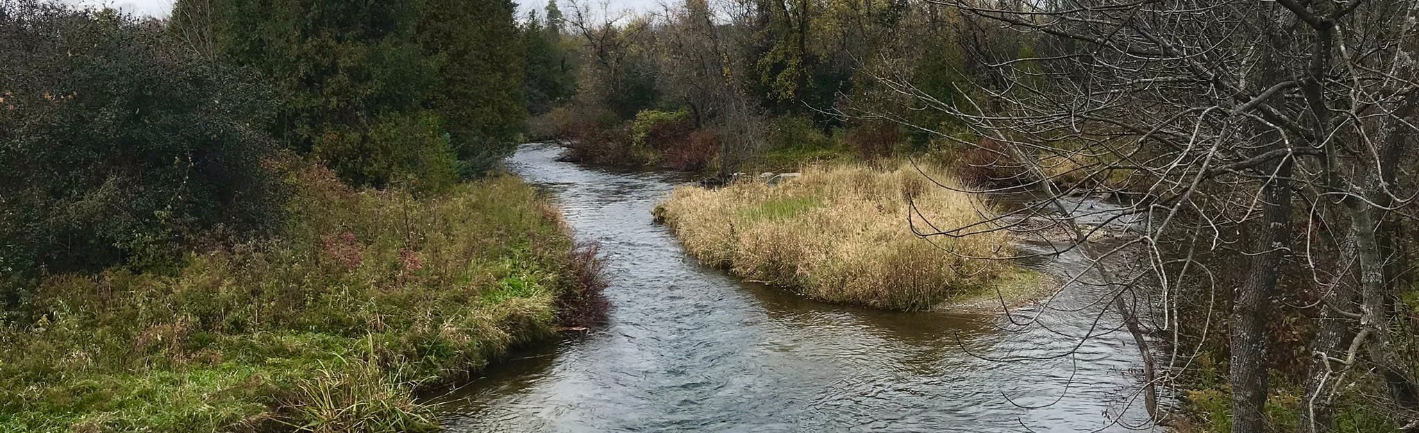 AllTrails | Caledon Trailway: Inglewood to Caledon East: 169 Reviews ... AllTrails | Caledon Trailway: Inglewood to Caledon East: 169 Reviews ...