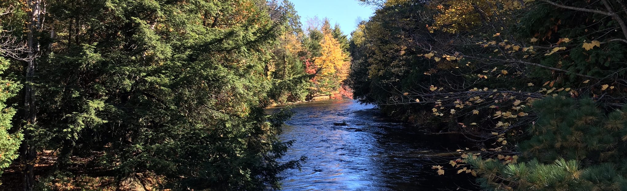 Dead River Trail, Michigan - 39 Reviews, Map | AllTrails