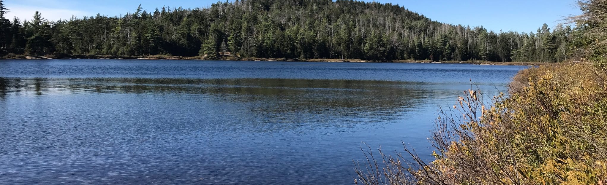 Crane Mountain Loop Hike, New York - 1,259 Reviews, Map | AllTrails