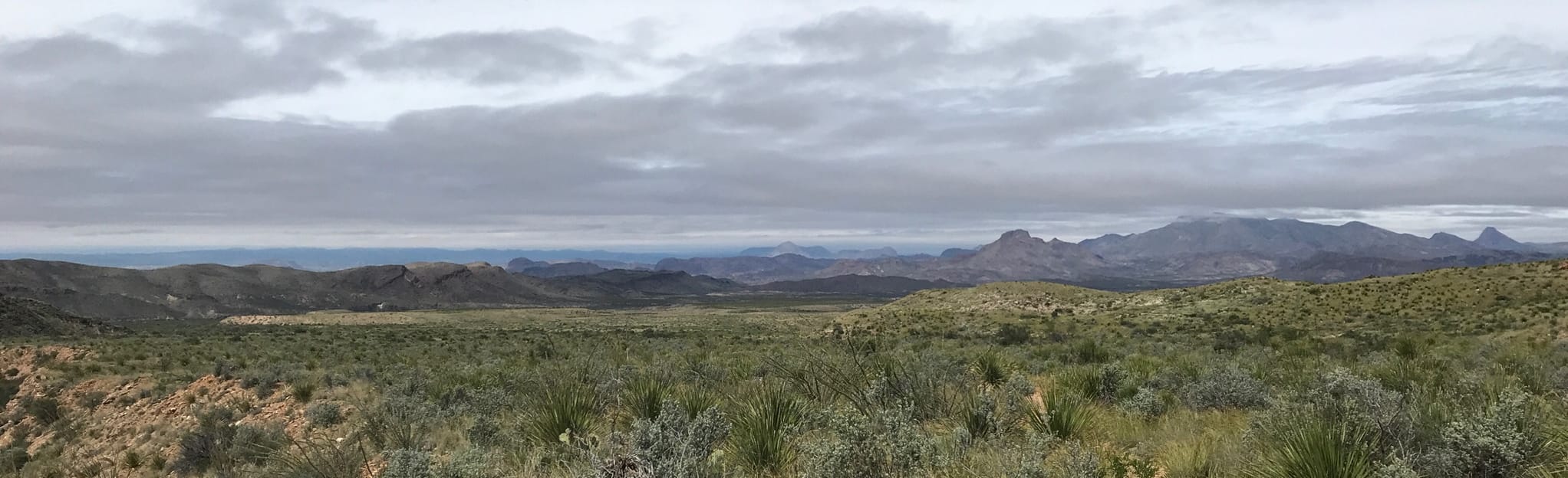 Cattail Falls, Texas - 394 Reviews, Map | AllTrails