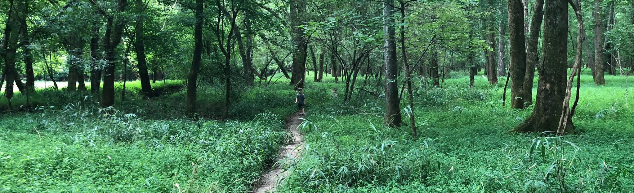 The Ridge Nature Area Loop - Georgia | AllTrails