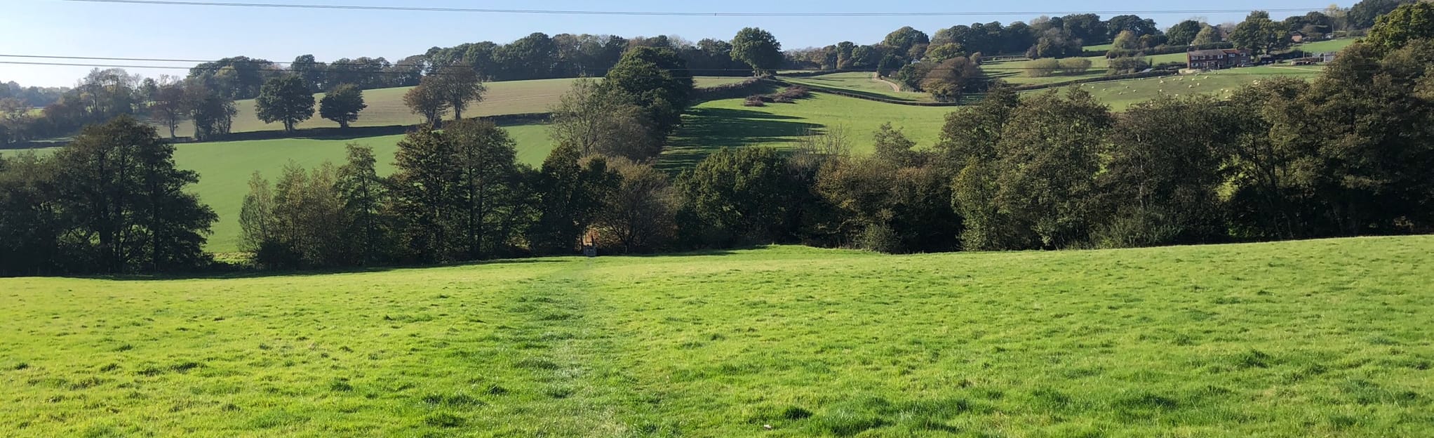 Rushlake Green Trail: 39 Reviews, Map - East Sussex, England | AllTrails