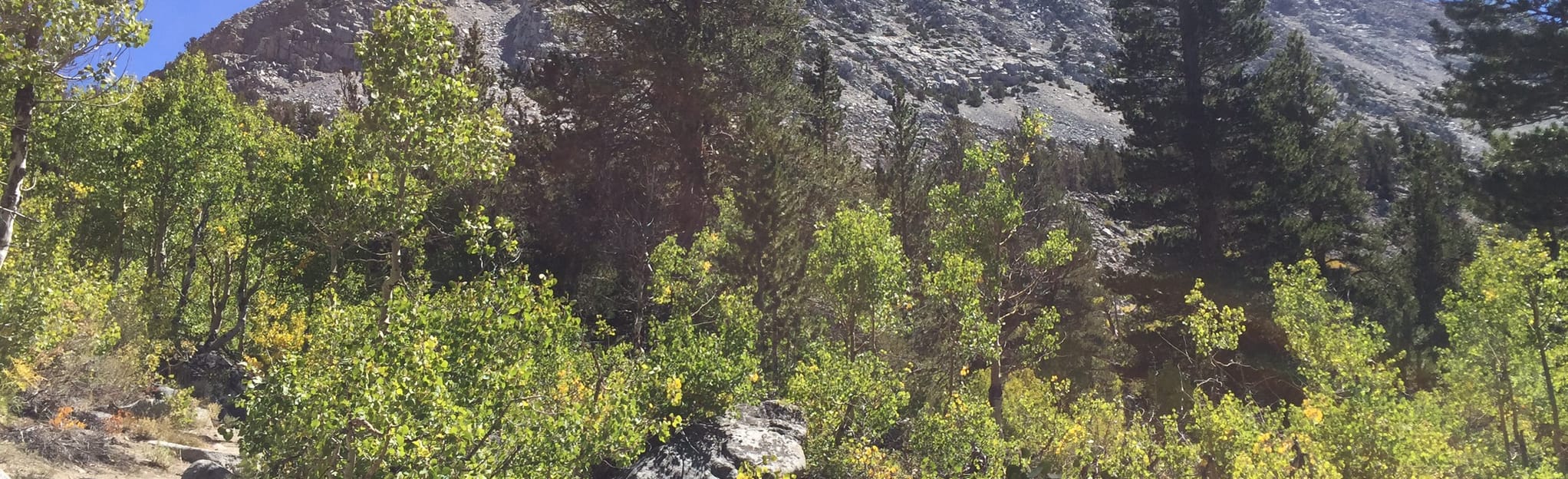 Tamarack Lakes Trail | Map, Guide - California | AllTrails