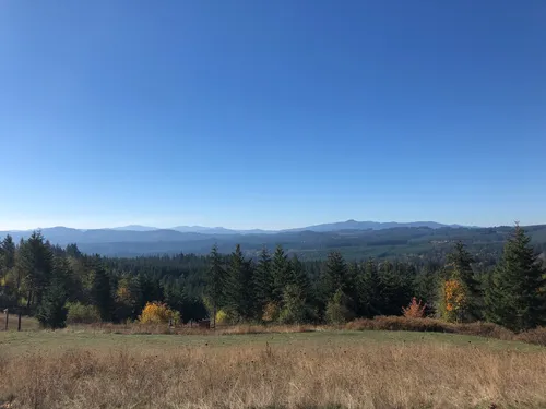 Best 10 Hiking Trails in L.L. Stub Stewart State Park | AllTrails