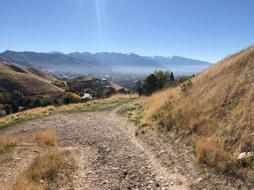 Best 10 Hikes and Trails in Foothills Natural Area | AllTrails
