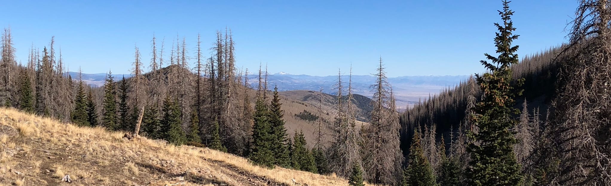 West Frisco Trail, Colorado - 15 Reviews, Map | AllTrails