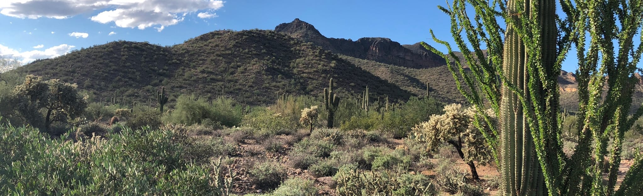 Meridian Trailhead to Idaho Road Trailhead: 206 Reviews, Map - Arizona ...