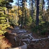 Mount Kit Carson Loop Road, Trail 140 and Trail 110 Loop, Washington ...