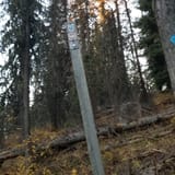 Mount Kit Carson Loop Road, Trail 140 and Trail 110 Loop, Washington ...