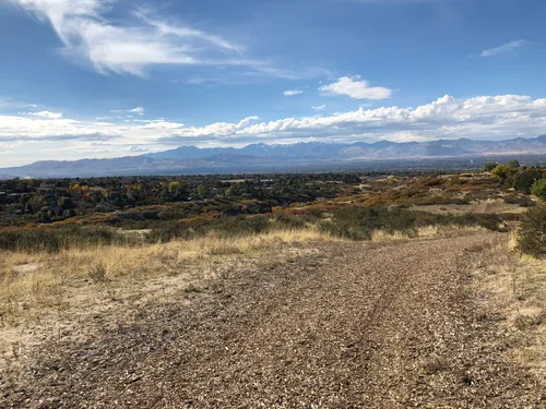 10 Best Hikes and Trails in Dimple Dell Regional Park | AllTrails