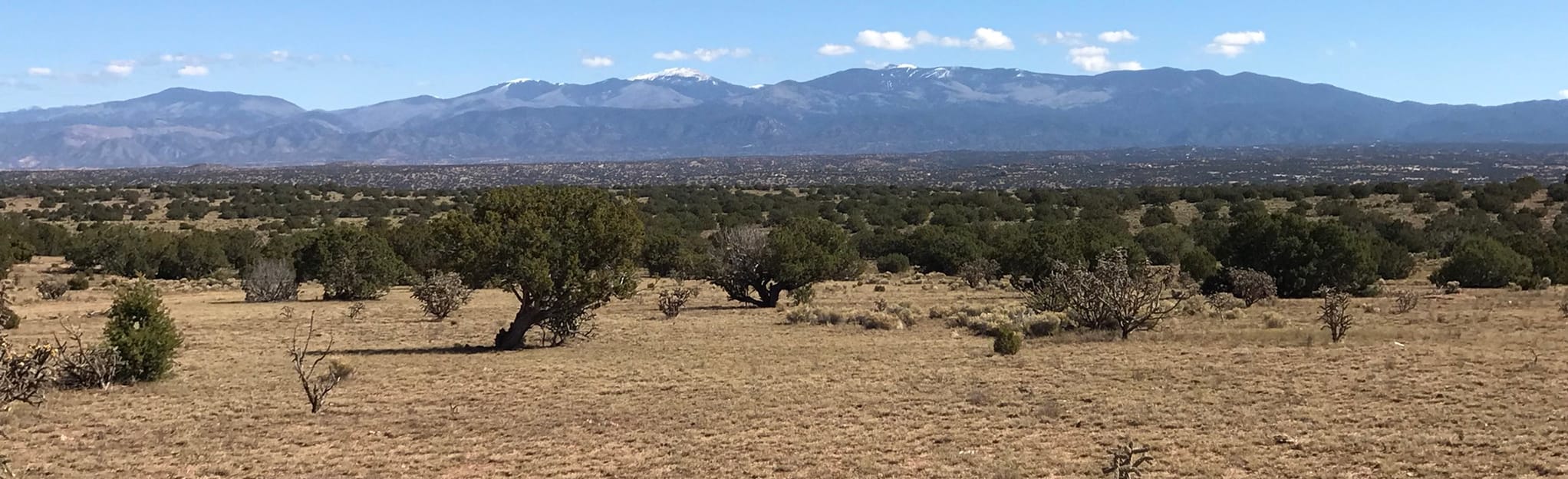 Caja del Rio OHV Trail: 134 Reviews, Map - New Mexico | AllTrails