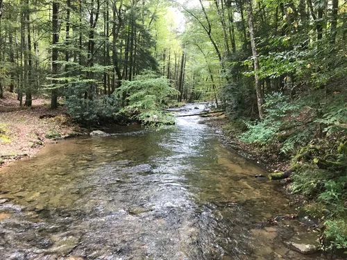 Best Hikes and Trails in Holly River State Park | AllTrails