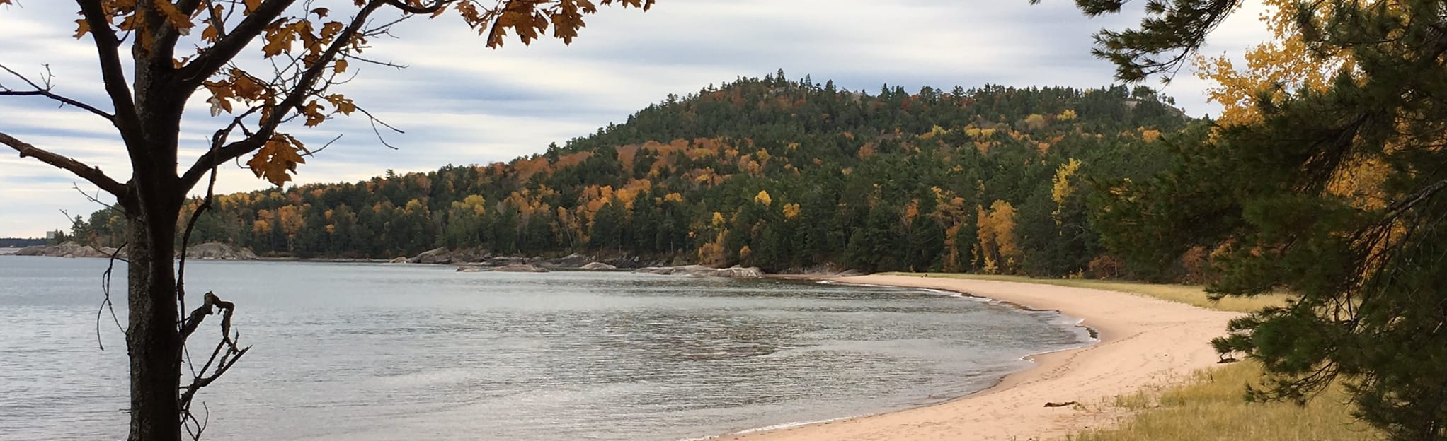 Shoreline, Red Pine, and Bareback Trails Loop, Michigan - 171 Reviews ...