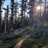 PCT: CA Section M - Highway 49 to Belden, California - 52 Reviews, Map ...