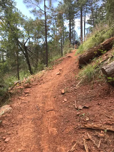 2023 Best 10 Trails and Hikes in Pine | AllTrails