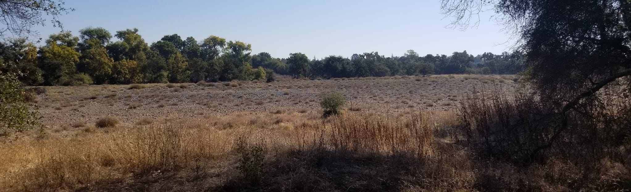 Effie Yeaw Nature Loop Trail: 564 Reviews, Map - California | AllTrails