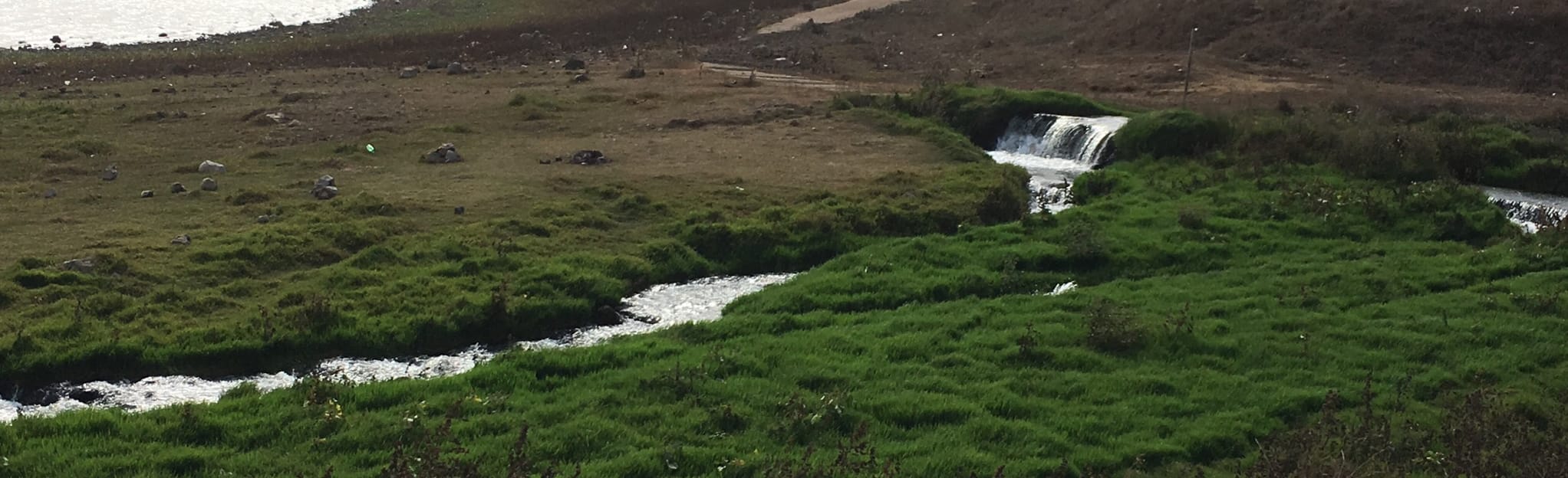 Northern Golan Trail, Baron Forest and Daharat Ibrahim Loop: 50 Fotos ...