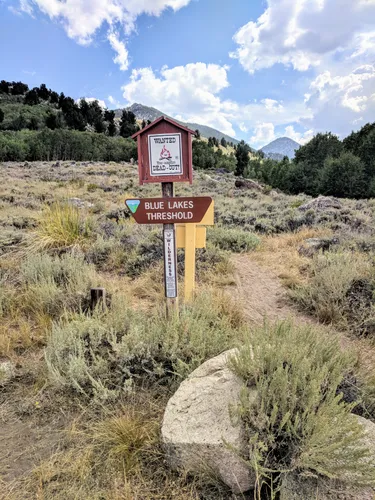 Best Hikes and Trails in Pine Forest Range Wilderness Area | AllTrails