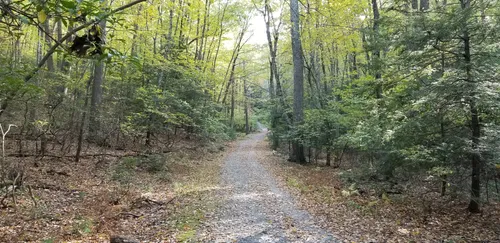 10 Best Hikes and Trails in Case Mountain Park | AllTrails