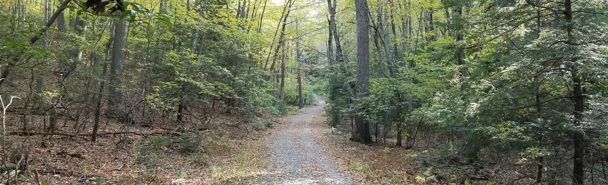 AllTrails | Case Mountain via Shenipsit Trail: 201 Reviews, Map ...
