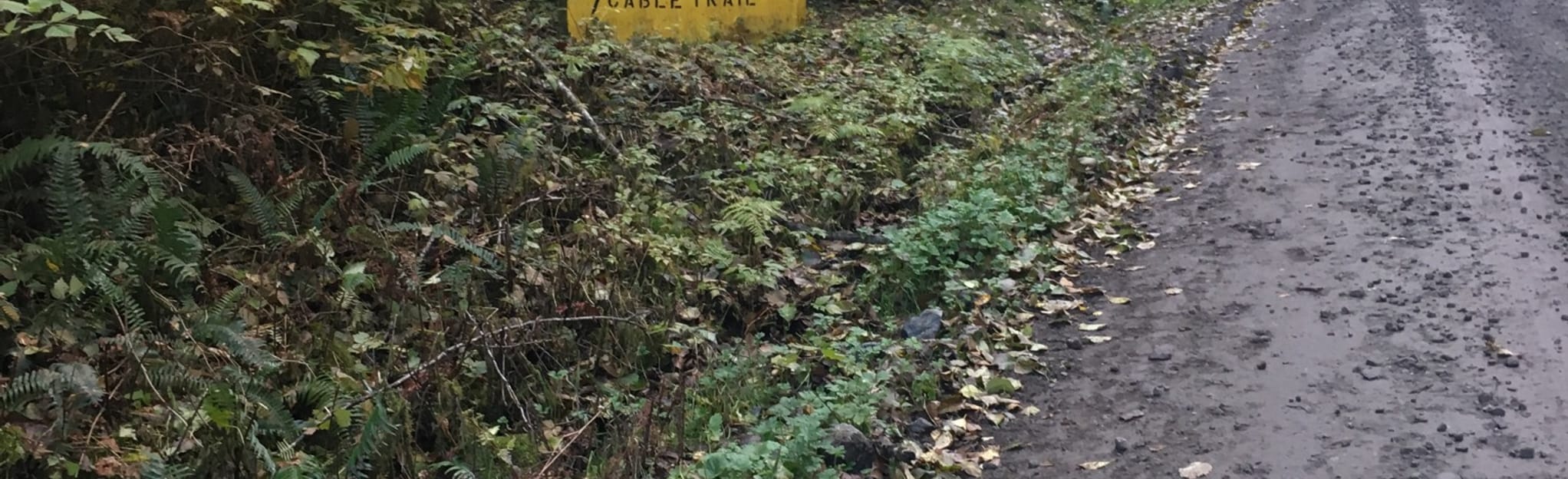 Cable Trail Loop, British Columbia, Canada - 5 Reviews, Map | AllTrails