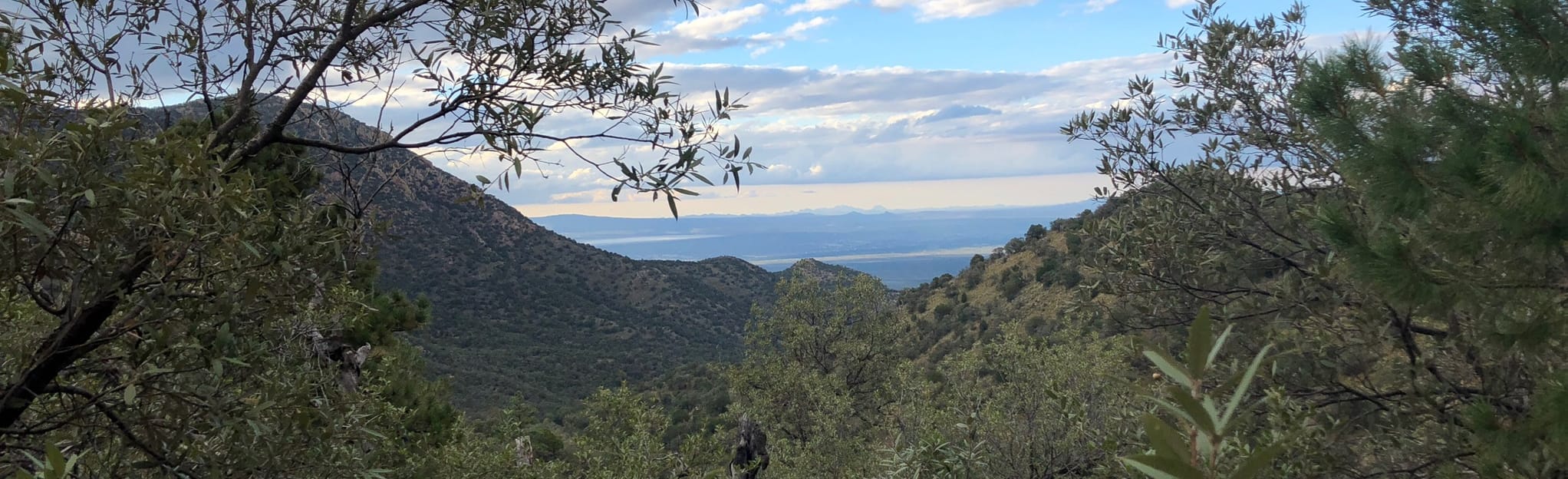 Rogers Rock via Super Trail #134: 1.014 Fotos - Arizona | AllTrails