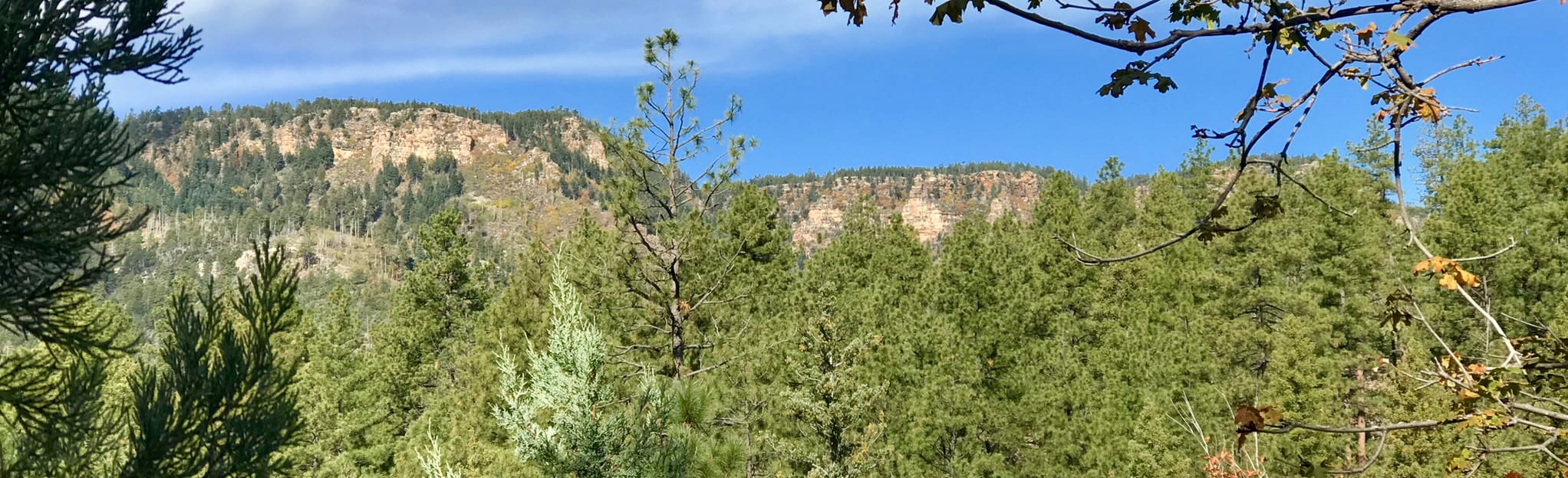 Drew Trail via Highline Trail: 63 Reviews, Map - Arizona | AllTrails