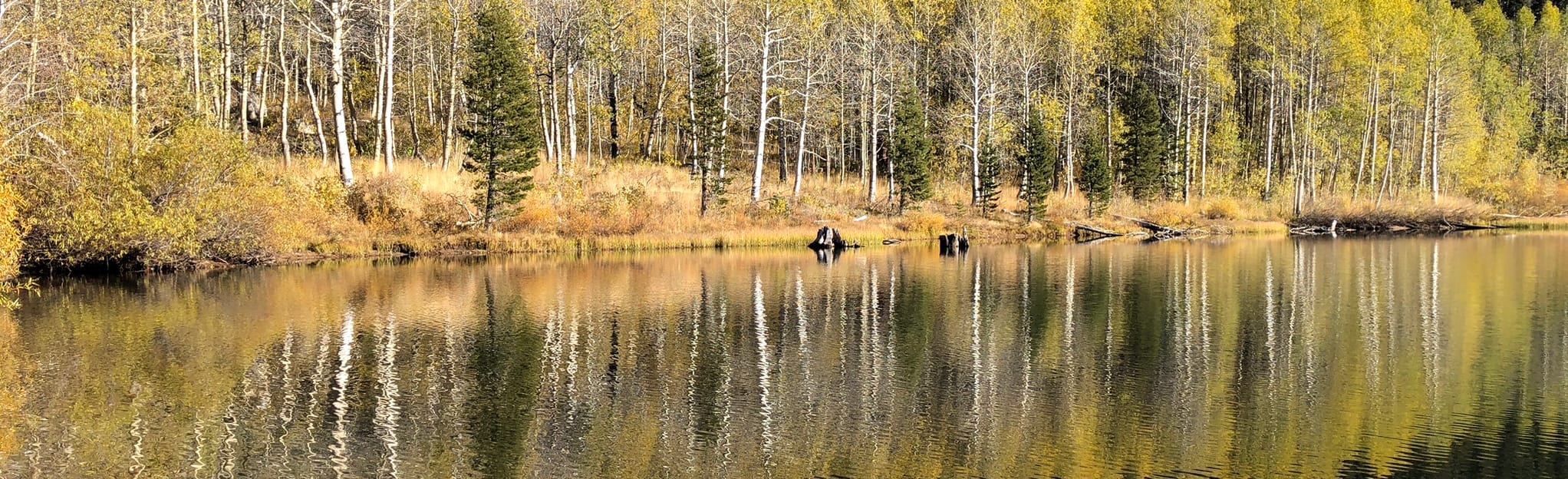 Marlette Lake and Tahoe Rim (Spooner) Trail Loop , Nevada - 111 Reviews ...