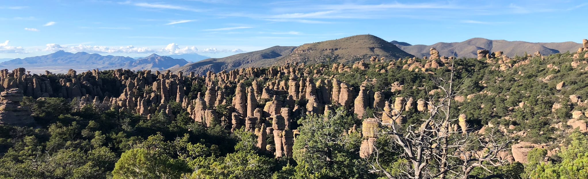 Heart of Rocks from Echo Canyon Trailhead, Arizona - 301 Reviews, Map ...