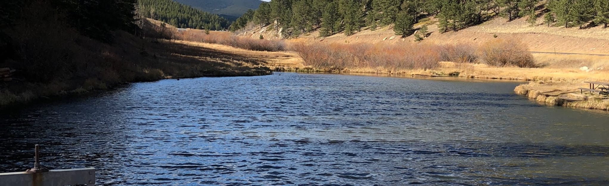 Beaver Trail , Colorado - 548 Reviews, Map | AllTrails