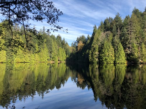 Best 10 Hikes And Trails In Larrabee State Park Alltrails
