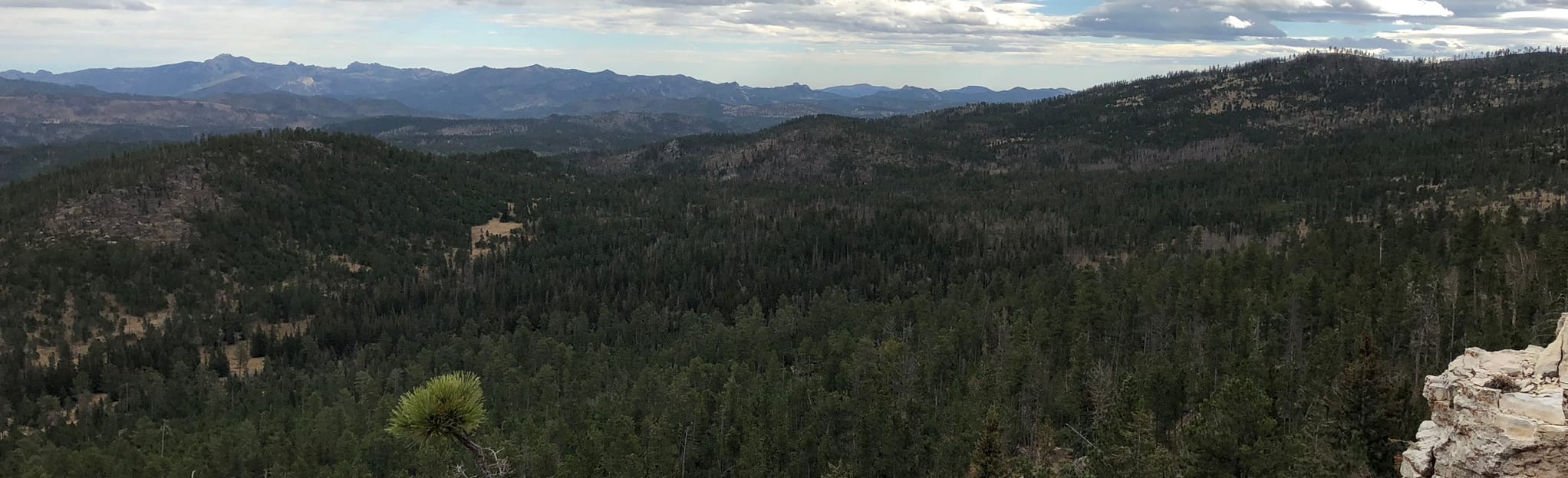 Bear Mountain Loop: 29 Reviews, Map - South Dakota | AllTrails
