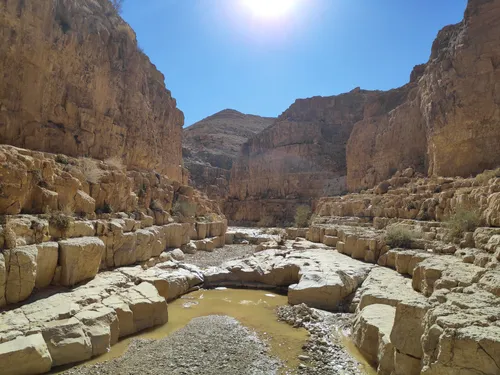 10 Best Hikes and Trails in Judean Desert Nature Reserve | AllTrails